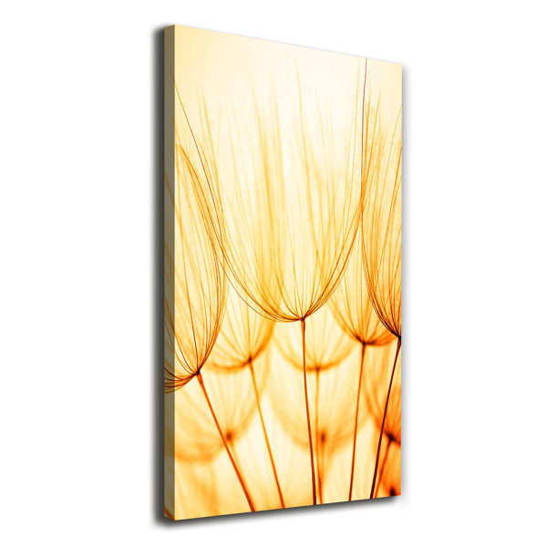 Ebern Designs Löwenzahnsamen - Kunstdrucke auf Leinwand - Wrapped Canvas | Wayfair.de